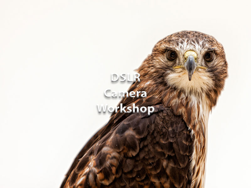 DSLR Camera Workshop - 1 Day DSLR workshopPhotography Training Yorkshire