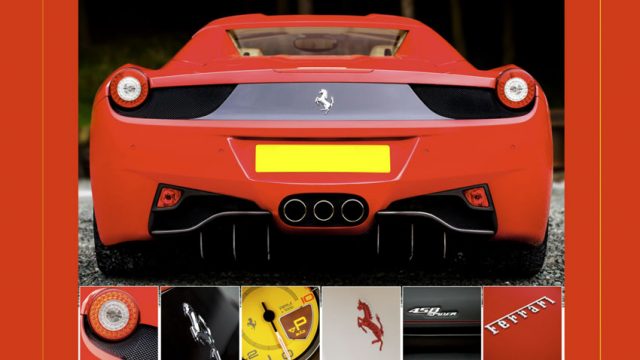 Camera Focus Modes Complete Guide - How to use your Focus modes